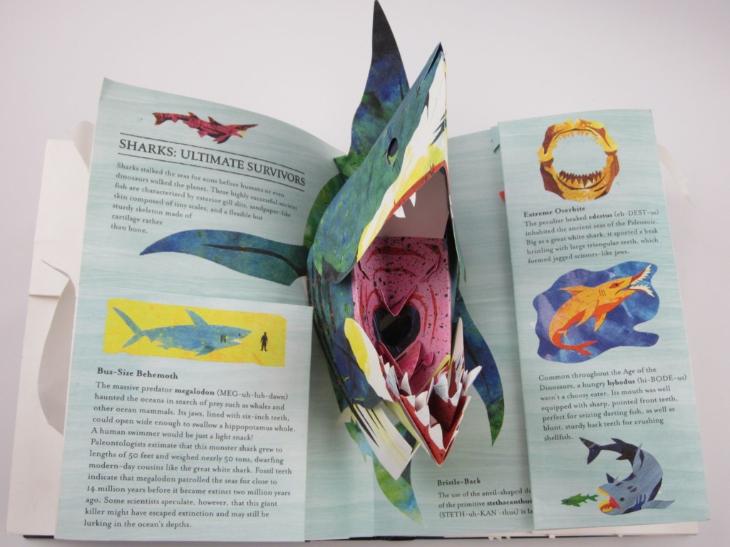 Robert Sabuda's Sharks - Recess! Media